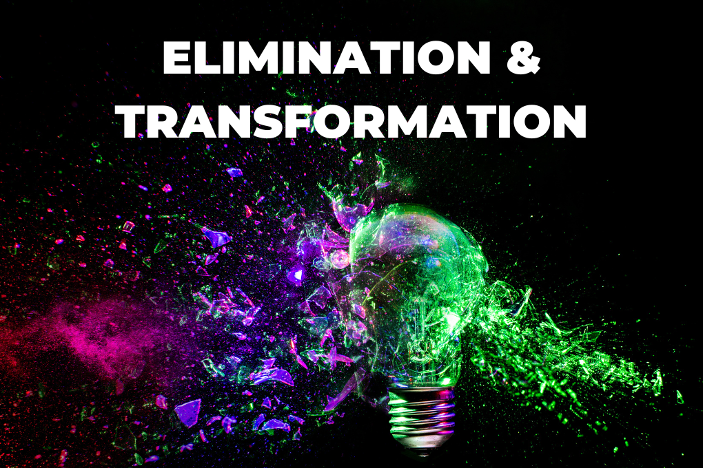 ELIMINATION & TRANSFORMATION PROCESS - Thriver Mind Life Coaching